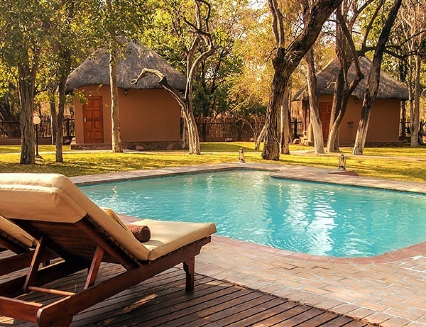 Kruger Safari och Kapstaden